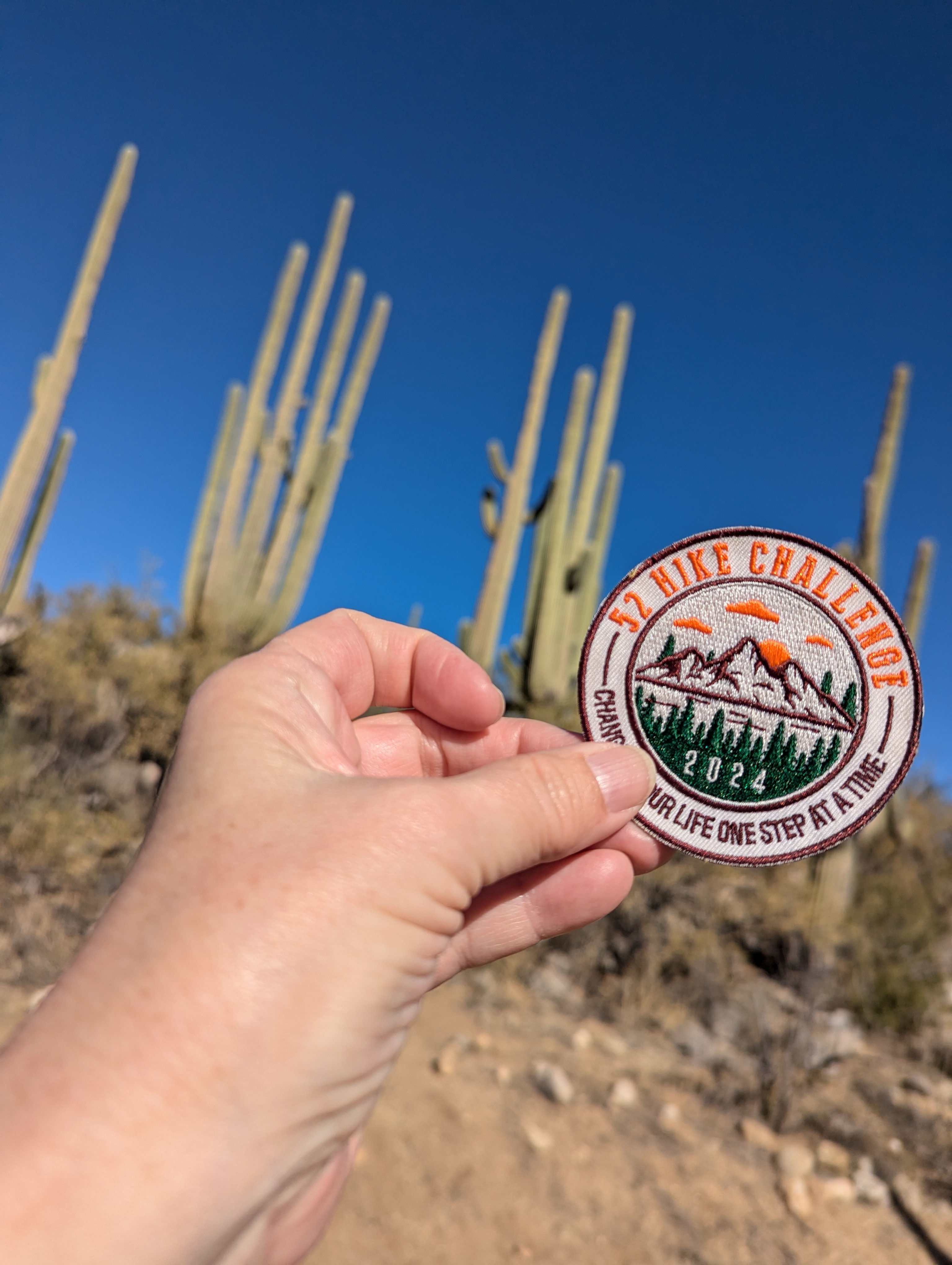 The 2024, 52 Hike Challenge: Trail's End - Seams Like a Story